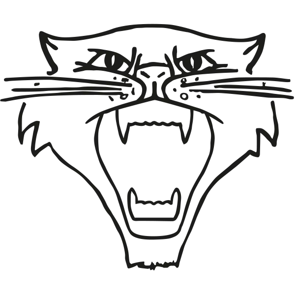 Tribute to The Cats Band - Het beste van The Cats sinds 2002