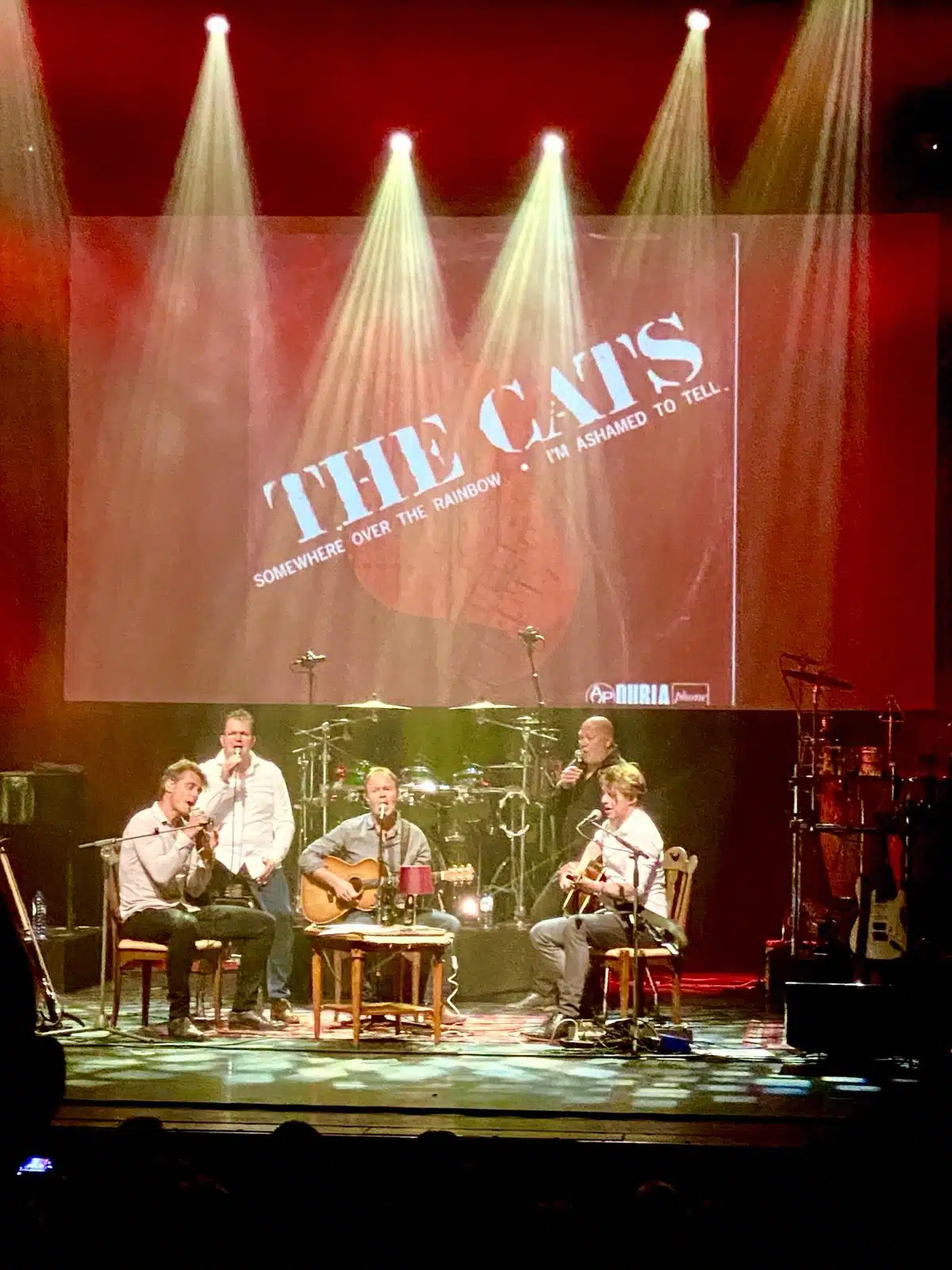 Tribute to The Cats Band - Het beste van The Cats sinds 2002