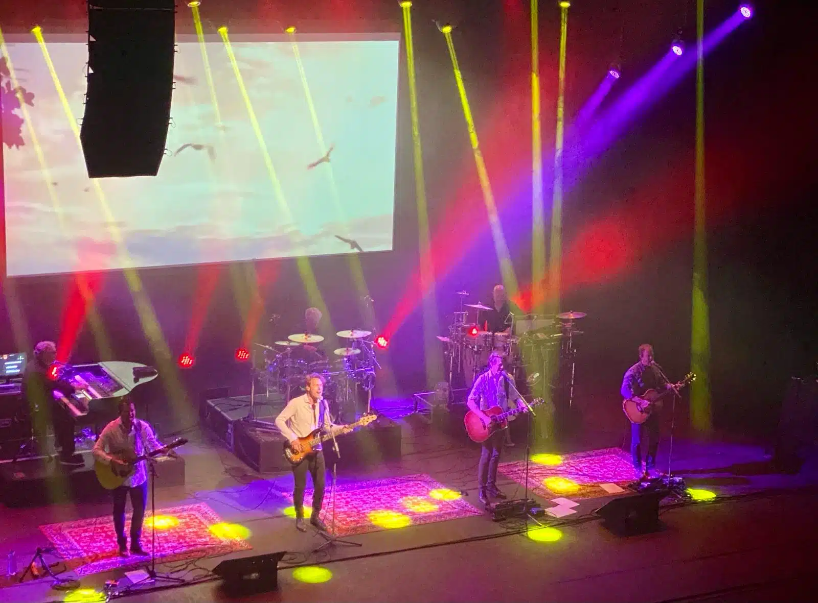 Tribute to The Cats Band - Het beste van The Cats sinds 2002